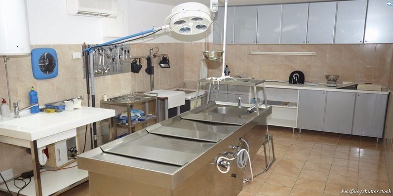 Here's what it's REALLY like to be an embalmer | Connecting Directors