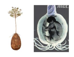 Burial Pod Coffins that grow more trees.. not cut them down