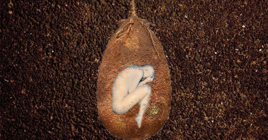 Burial Pod Coffins that grow more trees.. not cut them down