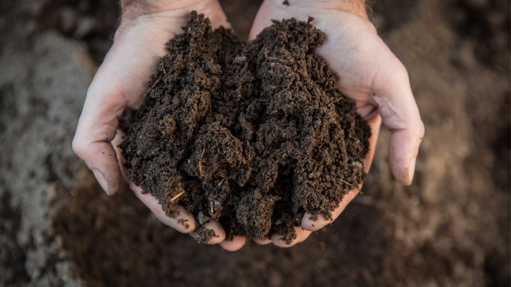 "Human Composting" Funeral Home Makes Long-Awaited Debut | Connecting ...