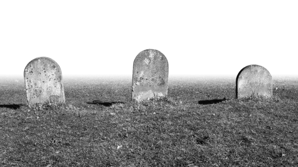 Trigard Has Created A Few Killer Infographics | Connecting Directors